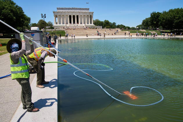 Trump found someone new to blame for reflecting pool fiasco in wild ...