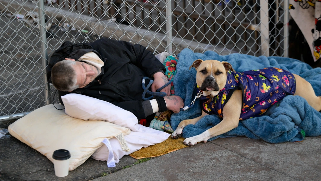 4 viral dog stories that melted hearts