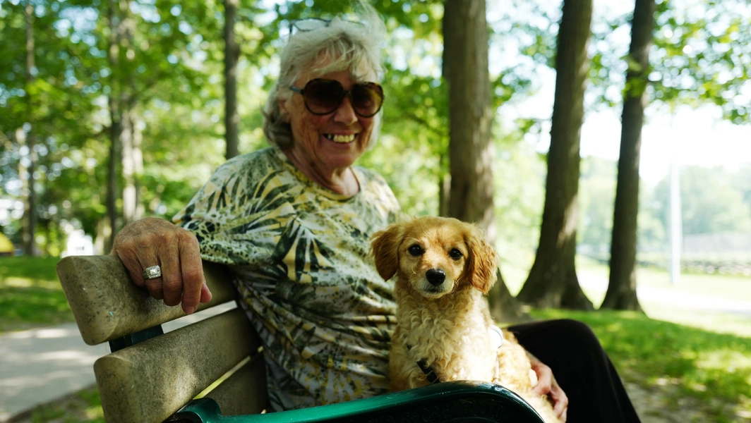 7 inspiring senior and rescue dog adoption stories