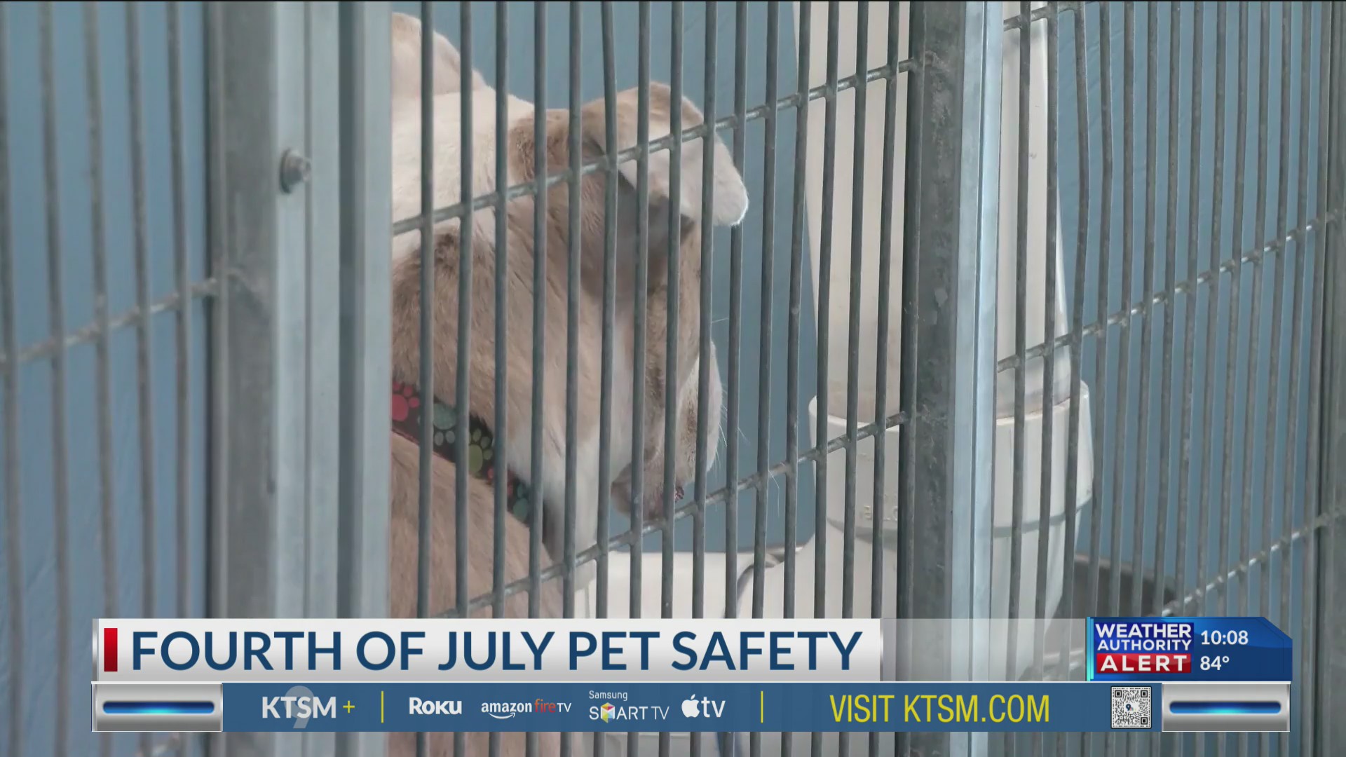 Shelter offers tips for pet safety as July 4th nears