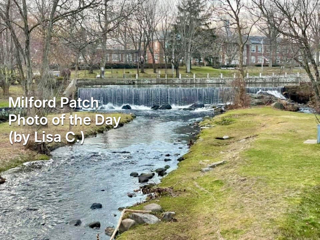 🌱 Patch AM: How one Milford couple turned a long-shot dream into Father ...