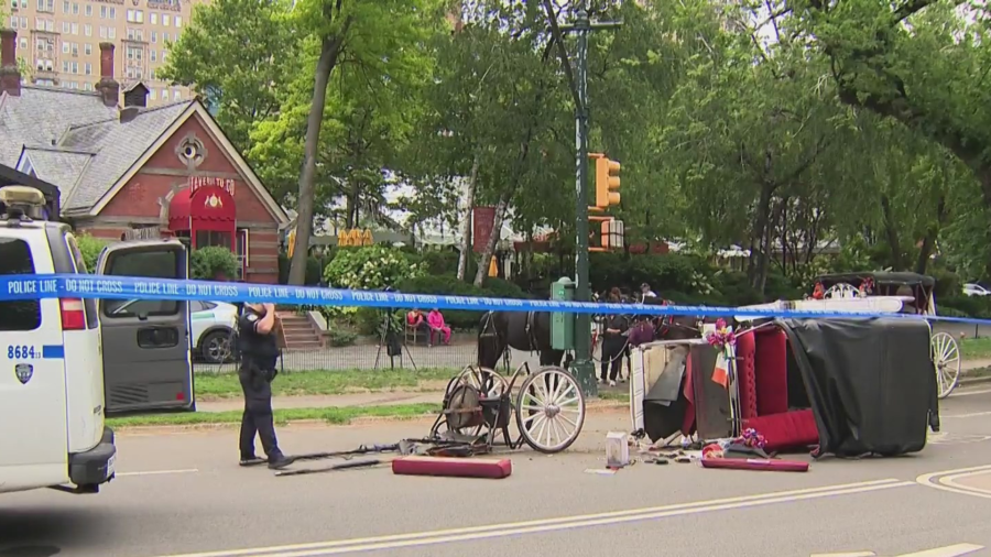 Horse-drawn carriage rides in Central Park to resume after safety training