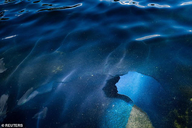 Fresh twist in $14.2m Reflecting Pool fiasco as new paint peels and ...