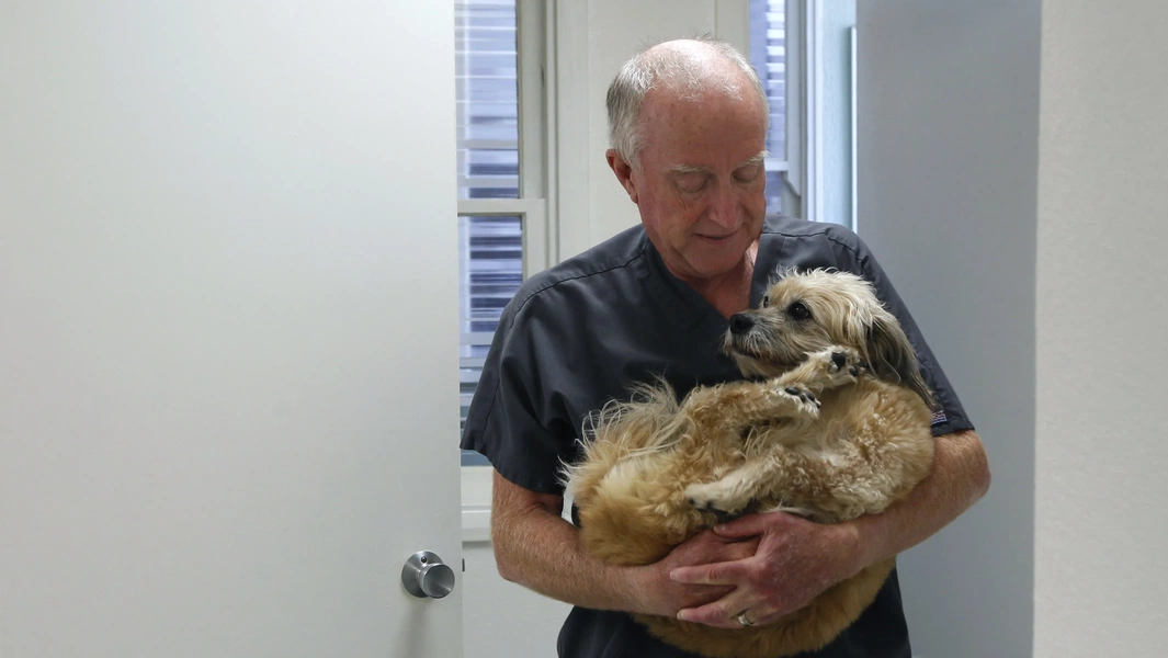 Recognizing signs of a dog’s final days