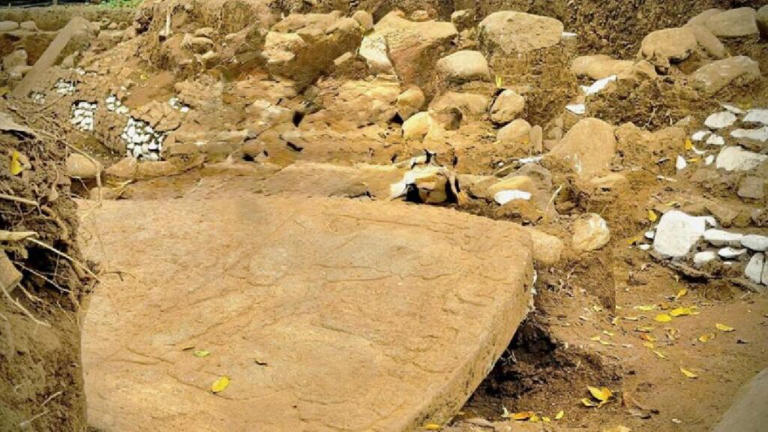 ¿Una cultura desconocida? INAH descubre en Veracruz una estructura ...