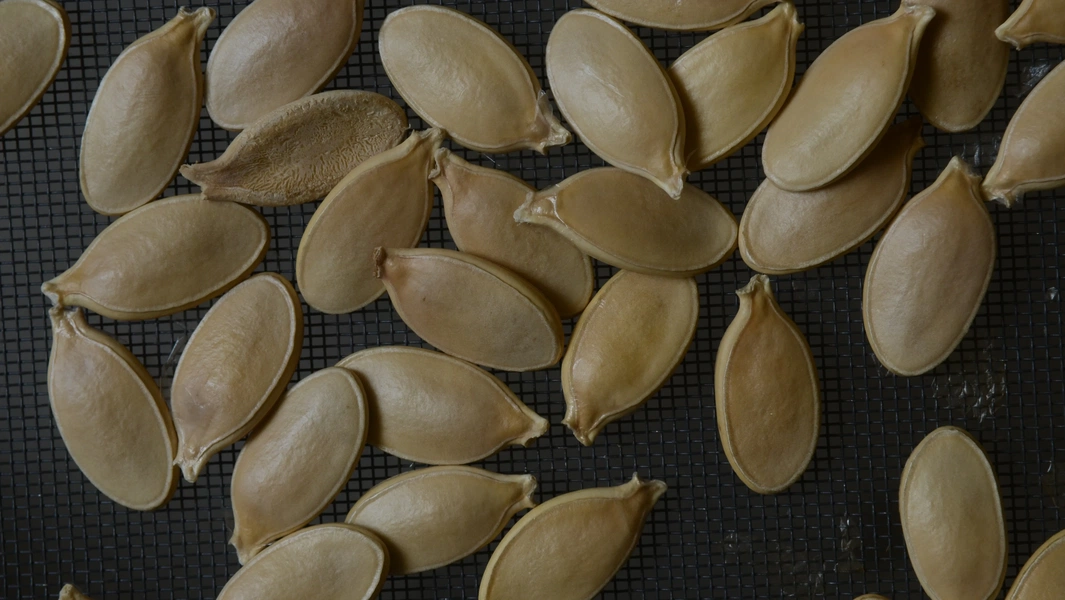 Magnesium-rich seeds with anti-inflammatory benefits