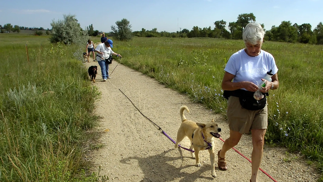 Dog club outlines training habits that undermine off-leash control