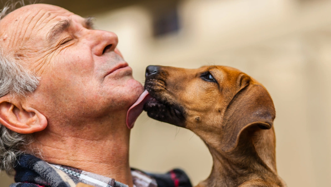 4 viral dog stories that melted hearts
