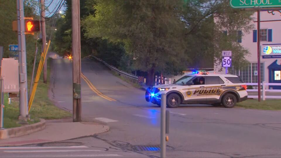 Water main break closes busy road in Allegheny County, damages nearby homes