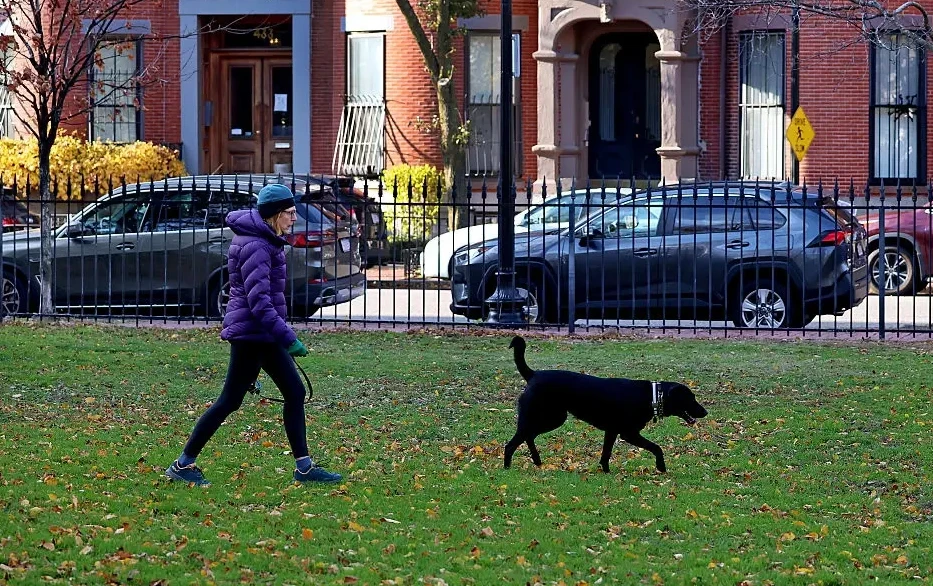 Dog club outlines training habits that undermine off-leash control