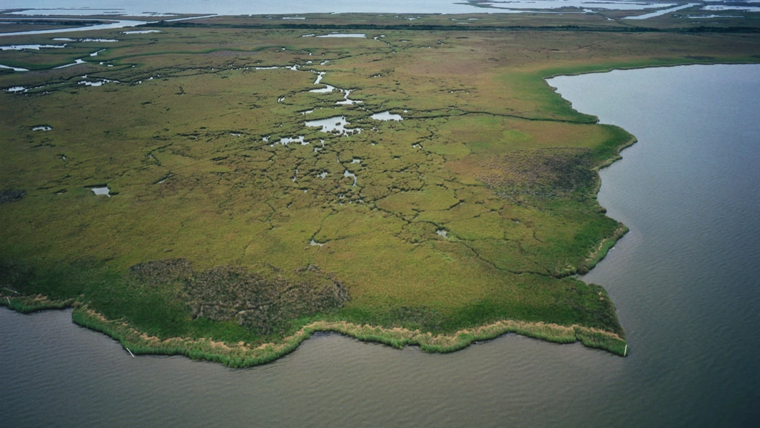 Cultural and natural treasures of the Mississippi Delta