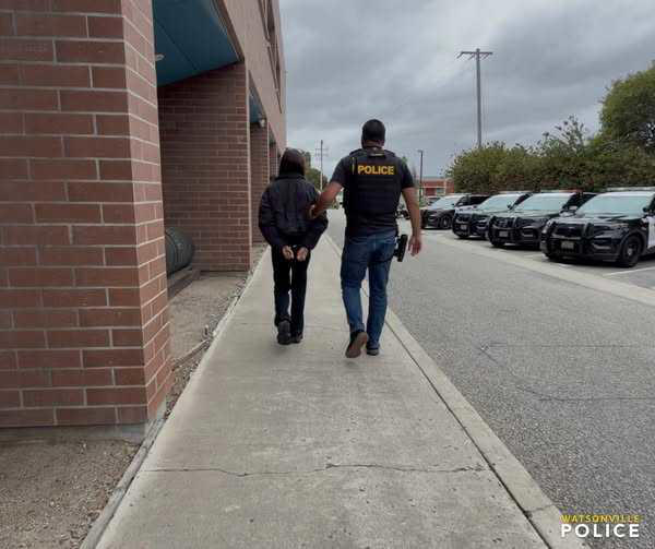 Watsonville woman arrested after alleged online threats against PVUSD board