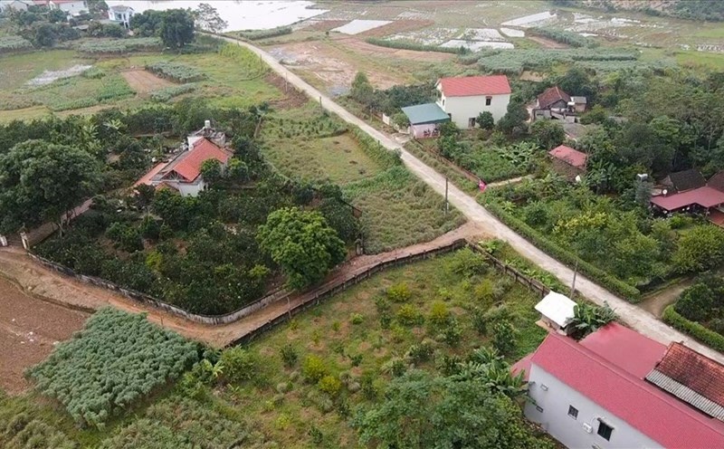 Lưu ý quan trọng để chuyển mục đích sang đất ở