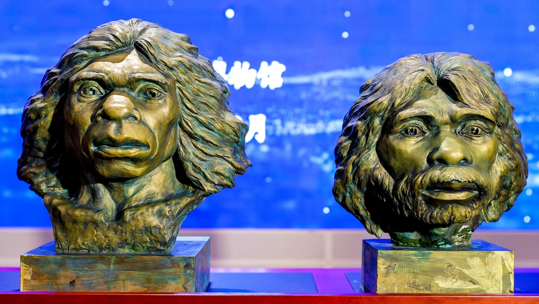 Yunxian skull reconstruction challenges long-held human evolution model