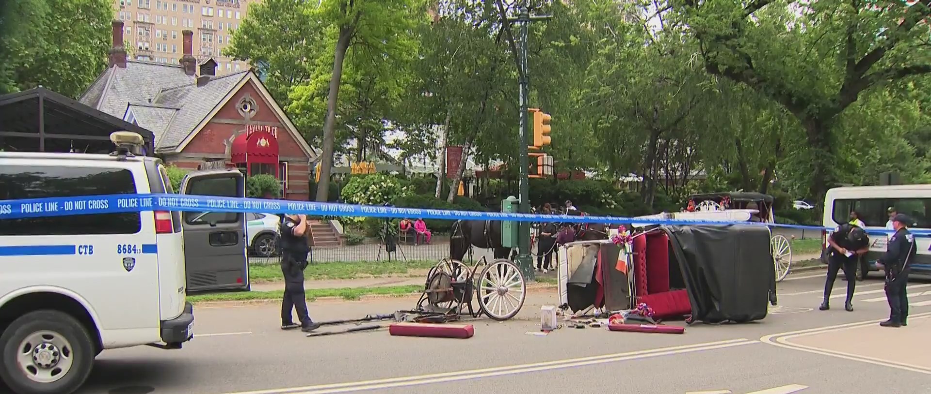 Horse-drawn carriage rides in Central Park to resume after safety training