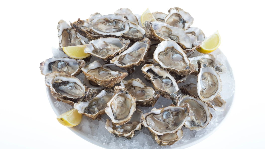 5 common oyster myths busted