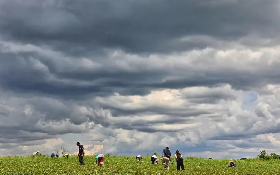 Cool, unsettled start expected despite warmer summer outlook