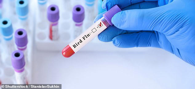 First case of deadly bird flu in Australia is confirmed