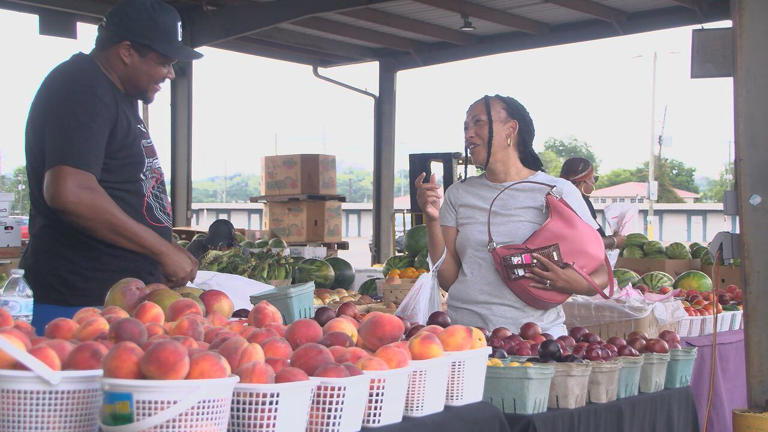 Farmers hoping for dry weather as more rain looms in central Alabama ...