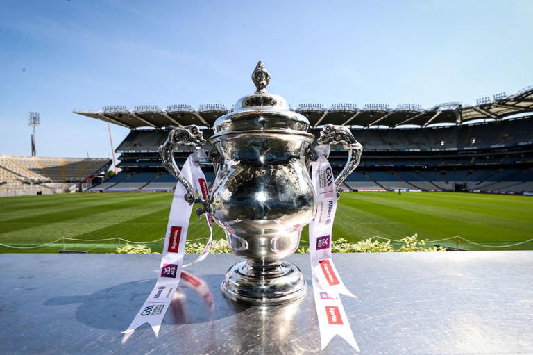 What time and TV channel is Offaly v Wicklow on today in the Tailteann ...