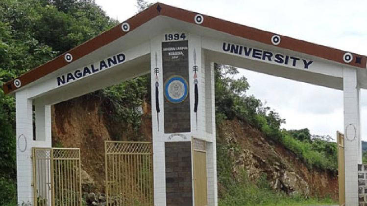 Nagaland University researchers join global dialogue on future of work ...