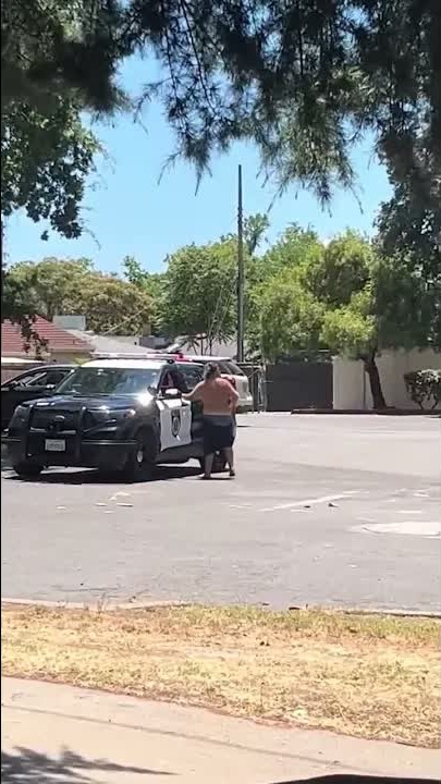 Suspect steals police car, leads cops on wild highway chase