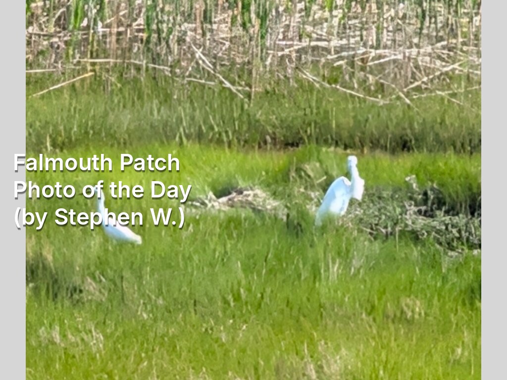 🌱 Patch AM: Why Falmouth tops this new list of 2026 Massachusetts ...
