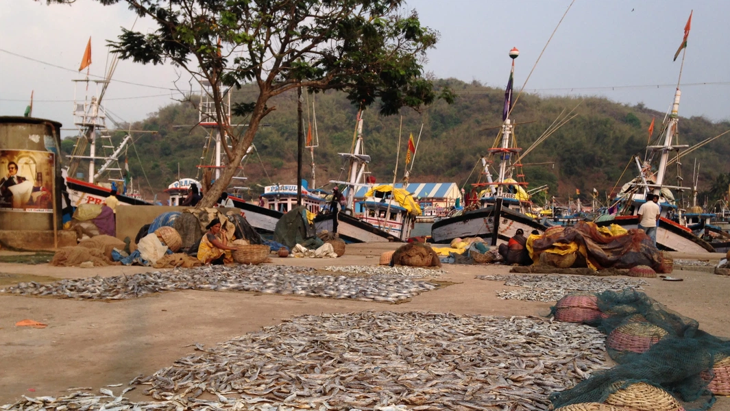 Karnataka to unveil coastal tourism policy with faster clearances