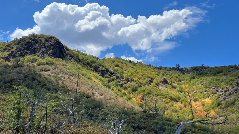 Arizona's rugged wilderness area has gorgeous mountain trails and ...