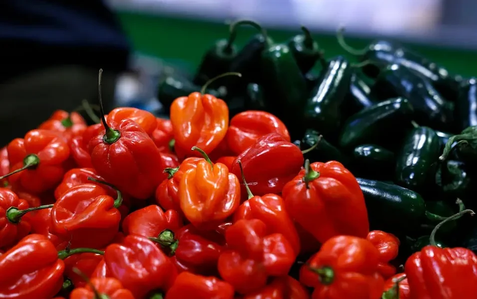 Why spicy food lovers might live longer