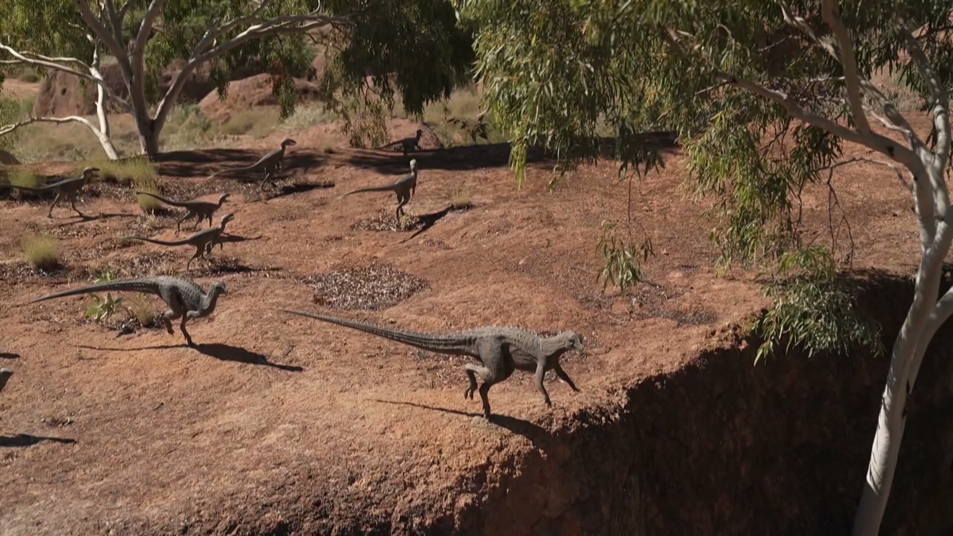 Outback tourism hotspots struggle as fuel crisis sees drop in visitors