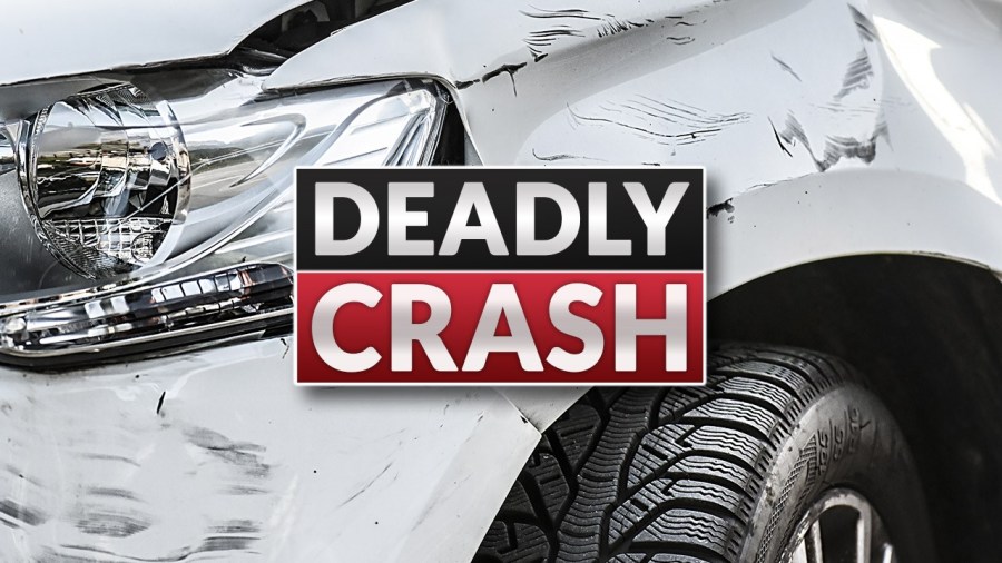 One dead after semi-truck crashes into tree in Taylor County
