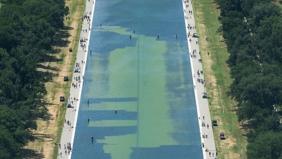 Reflecting Pool algae row: Who is Jonathan Karl? Trump calls out ABC ...