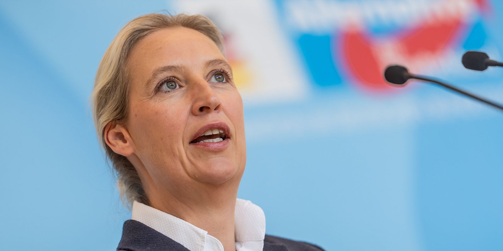 AFD vill lägga ner Tysklands bidragsmyndighet