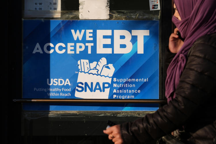 Opinion: Blue states feed taxpayers to food-stamp wolves