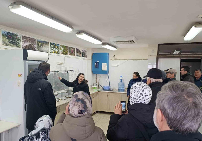Safran yetiştiriciliği eğitimi alan üreticilere sertifika töreni düzenlendi
