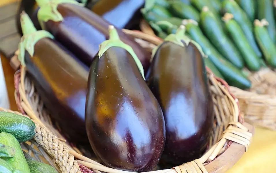 Eggplant recipes to warm your soul