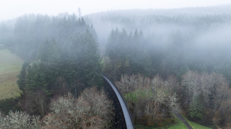 Oregon's first rail trail is a gentle forested path between two ...