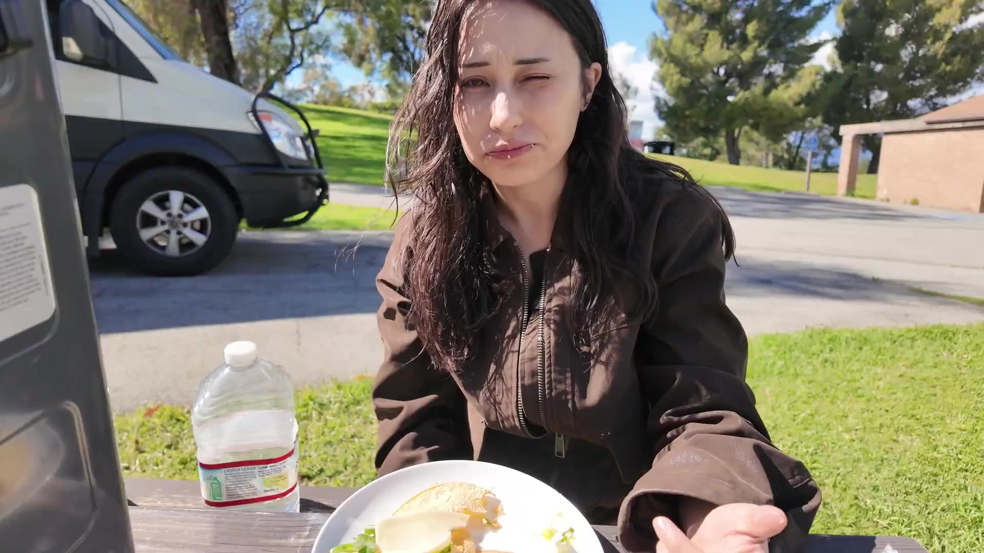 Van life hits completely different when you're down and out with the flu