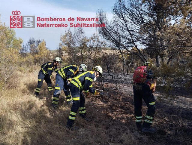 Controlado el incendio en un pinar de Caparroso