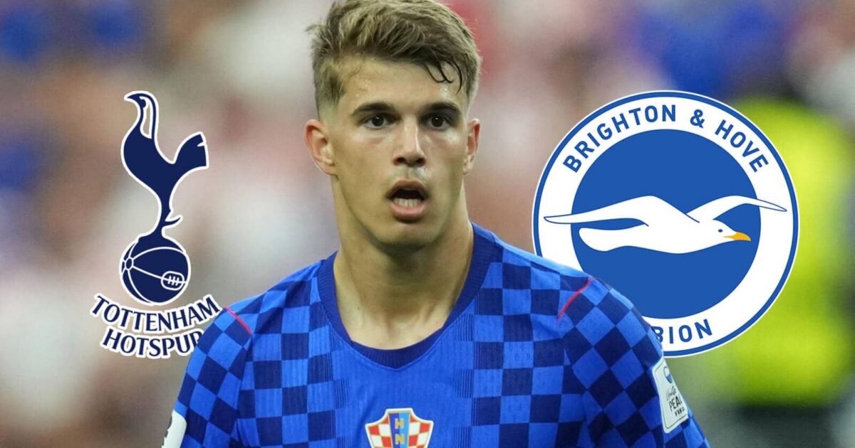 Tottenham to reject second Luka Vuskovic bid but two-fold belief ...