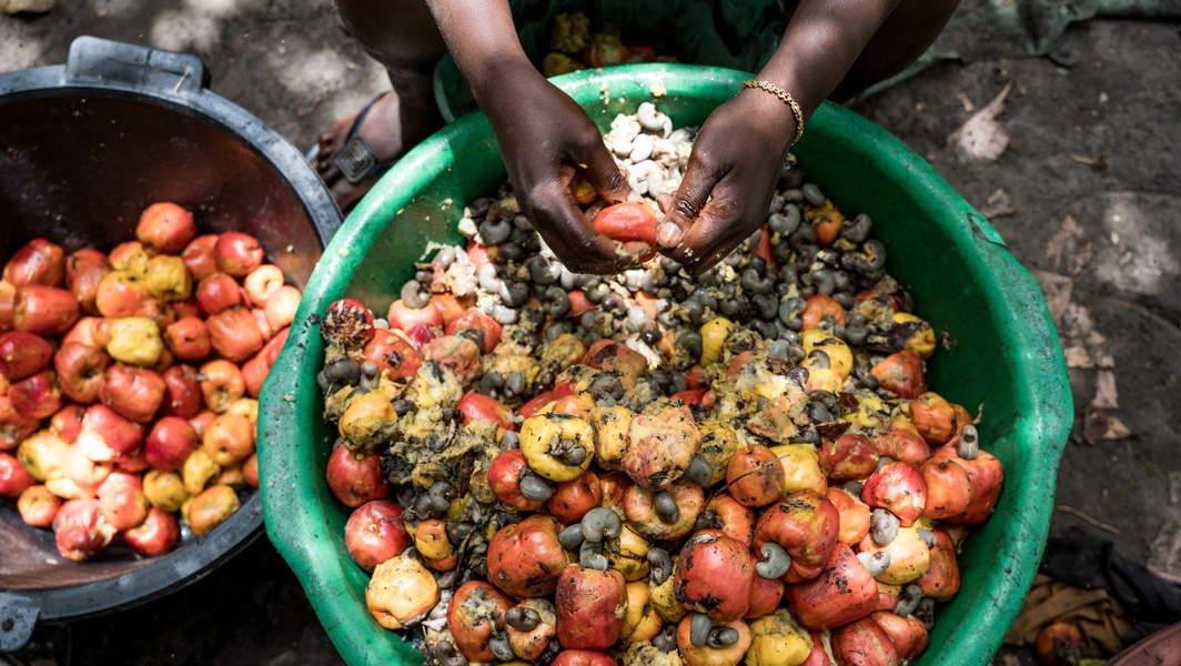 14 key facts about cashew production and nutrition