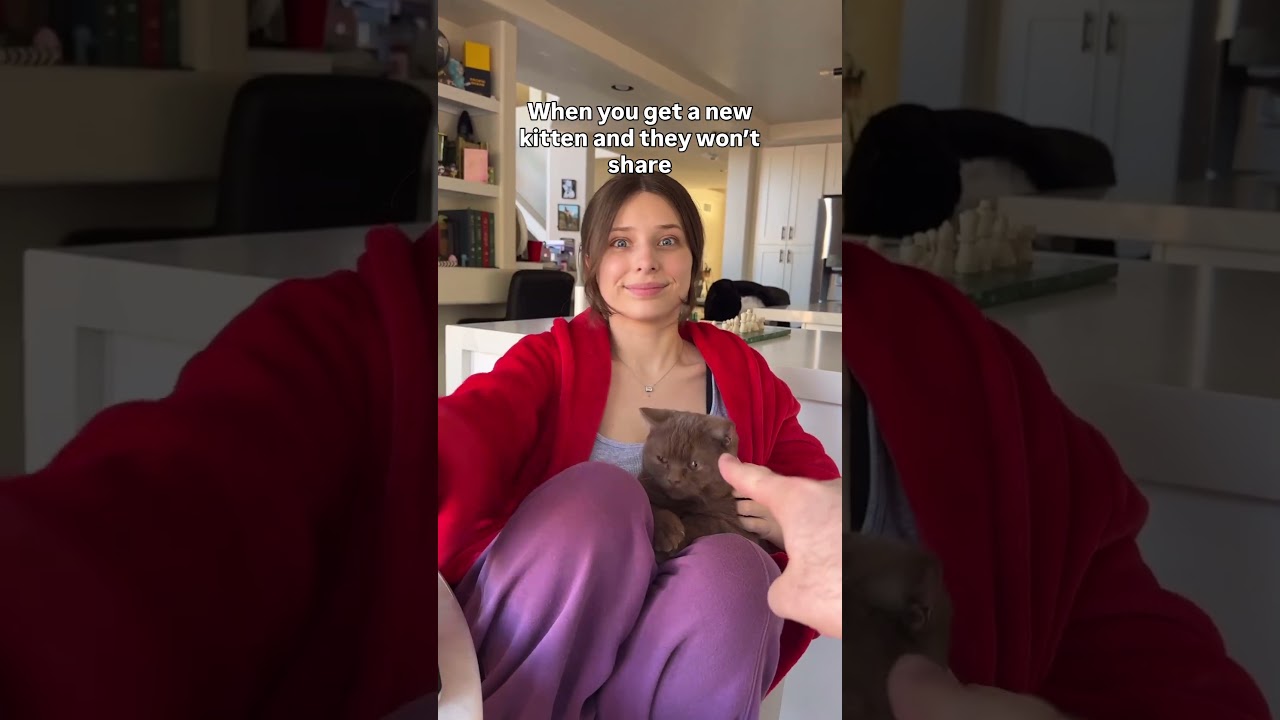 My girlfriend won’t share her kitten