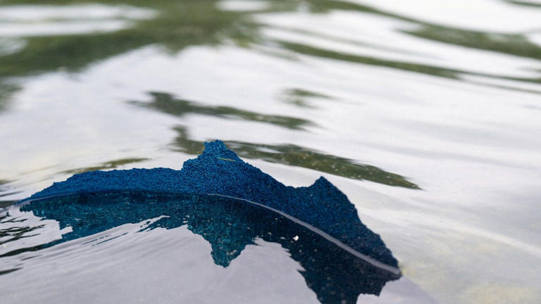 Former Olympian among those charged with vandalizing Reflecting Pool ...