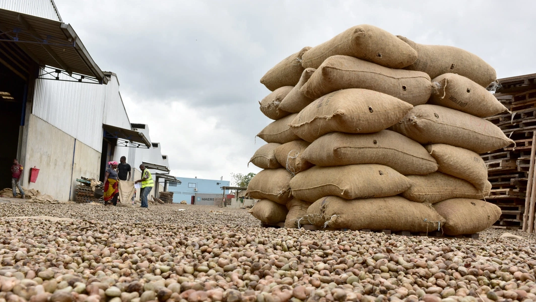 14 key facts about cashew production and nutrition