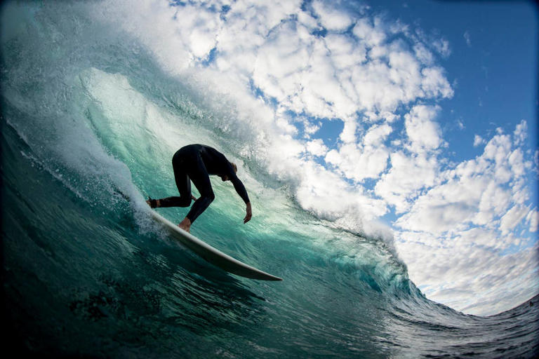 5 surf spots known for crocodile sightings around the world