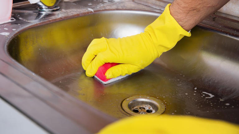 The hidden part of your kitchen harbouring bacteria — and how to clean ...
