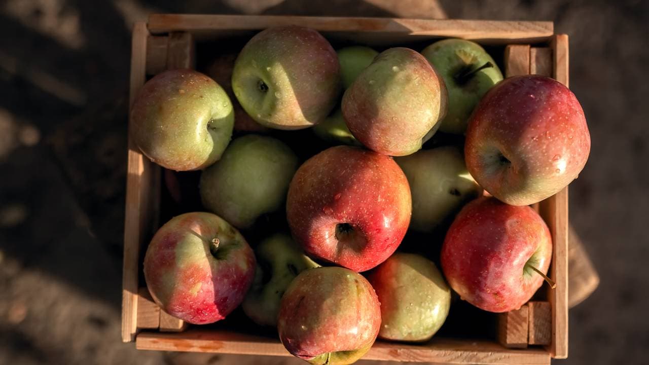 Healthy eating: Avoid these fruits after sunset for better health!