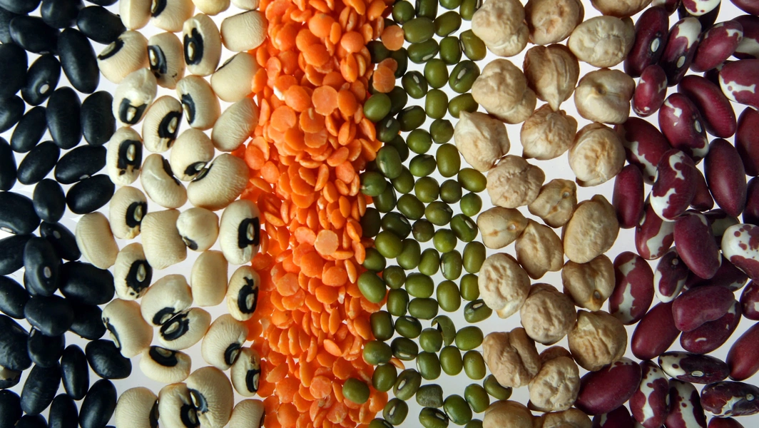 Black beans ranked healthiest bean for nutrition benefits
