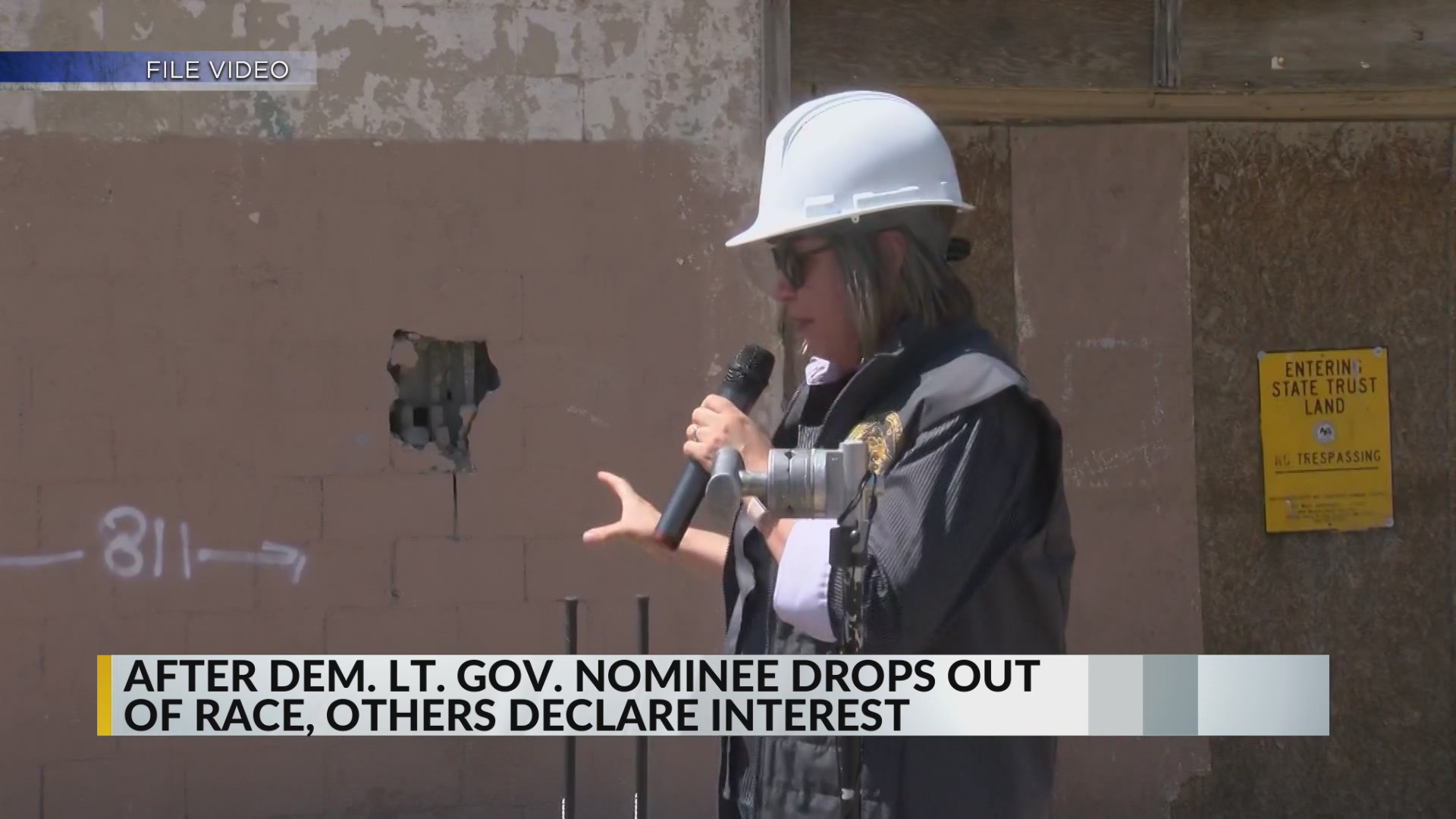 Multiple Democrats declare interest in becoming nominee for New Mexico ...